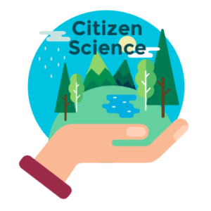 Biochar Citizen Science Project : USDA ARS