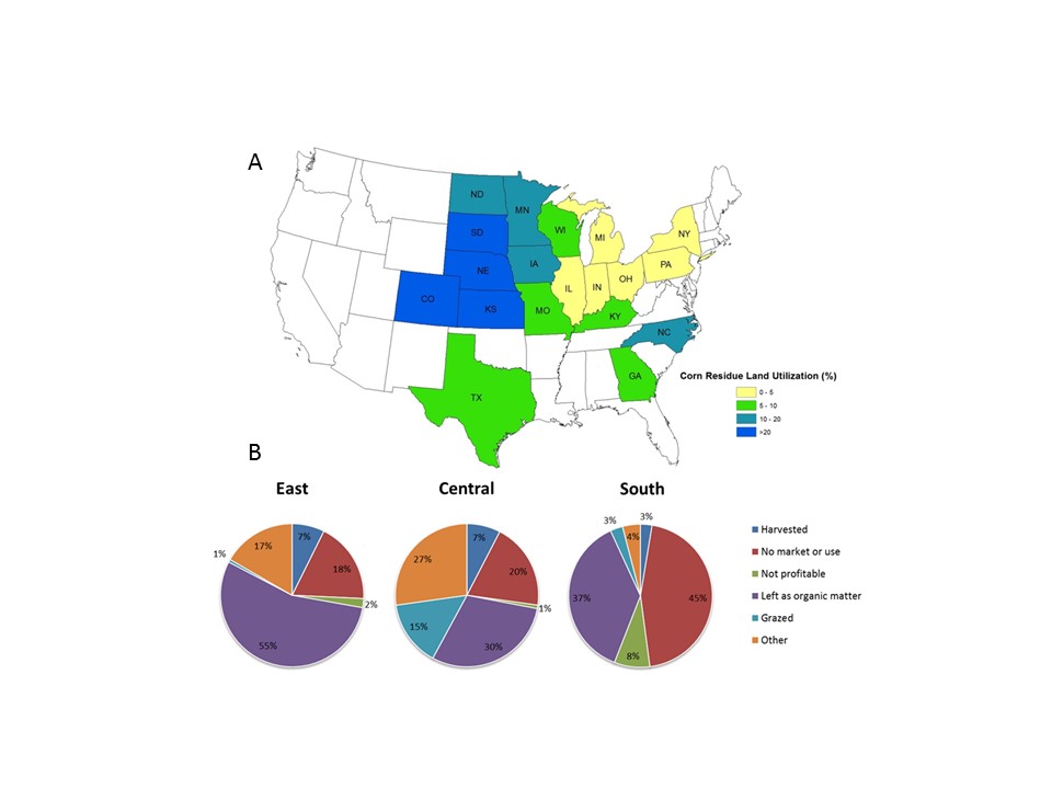 MARTY SCHMER : USDA ARS
