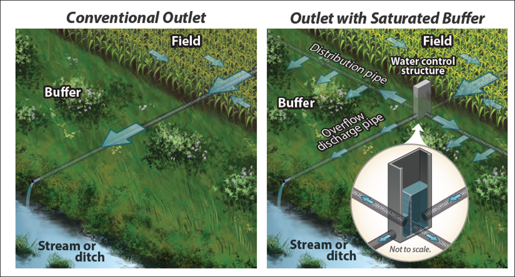 What are Saturated Buffers? : USDA ARS