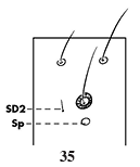 Pyraloidea Larvae Key Couplet 15 : USDA ARS