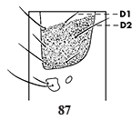 Pyraloidea Larvae Key Couplet 42 : USDA ARS
